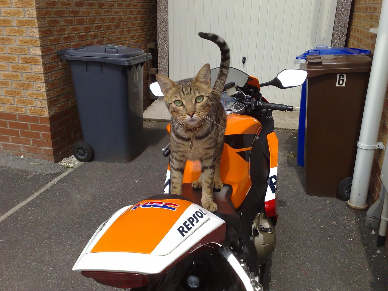 Rossi on new Repsol Honda