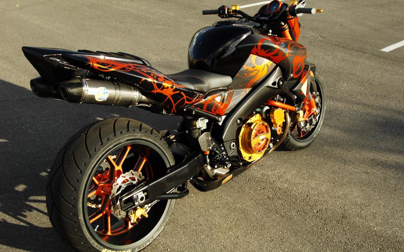 Are these the ultimate R1 and B-King customs?