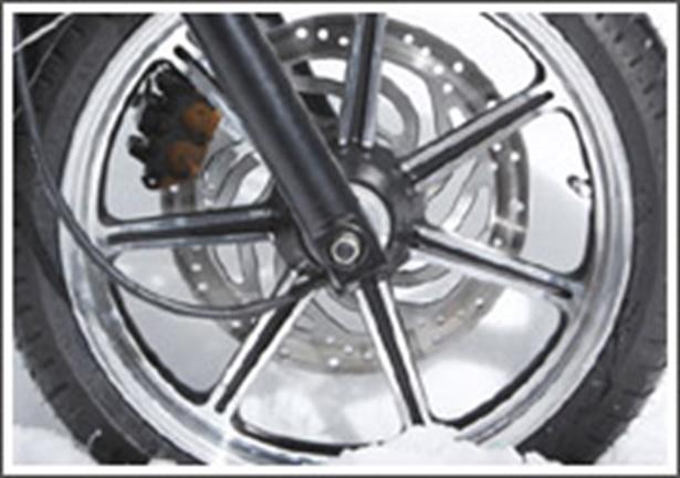 Triumph Bonneville SE picture special