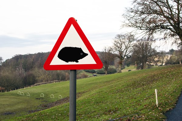 New road signs approved in DfT effort to protect animals