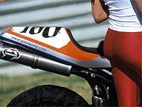 A curvaceous rear end