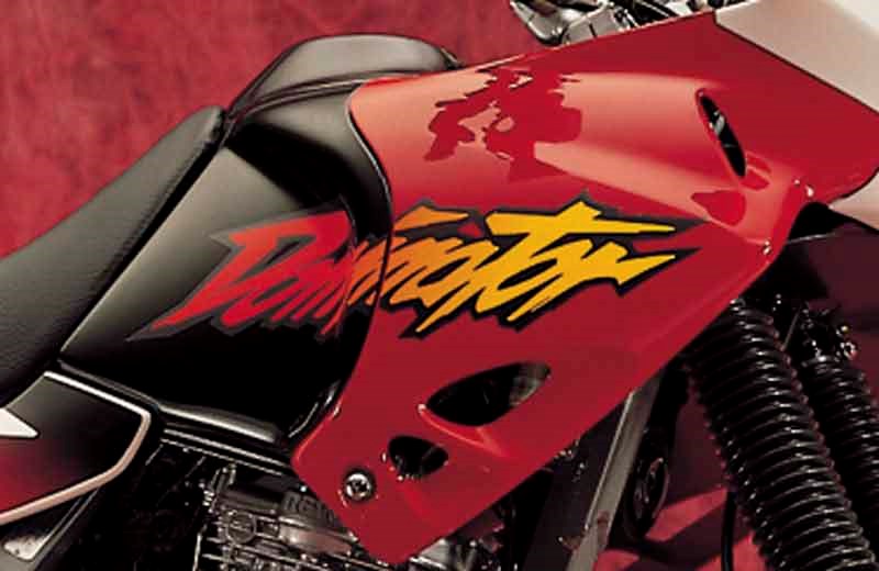 Honda Dominator 650 (1988-2001) Motorcycle Review