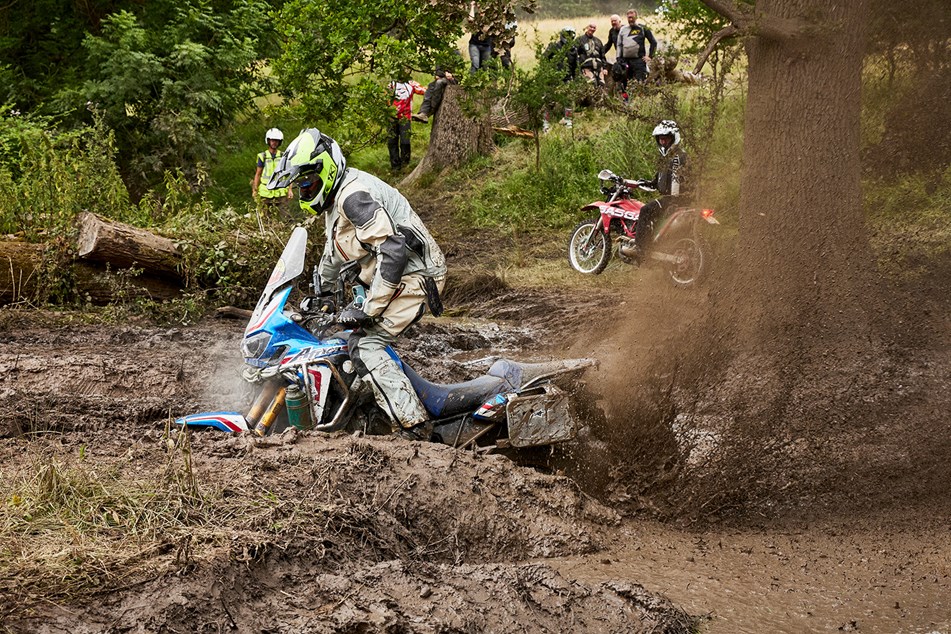 ABR Festival 2025 attracts record crowds in biggest year yet