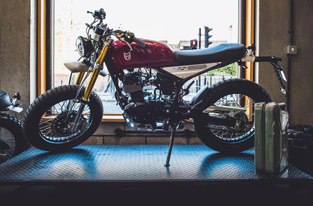 Mutt Razorback 125 packs bark and bite