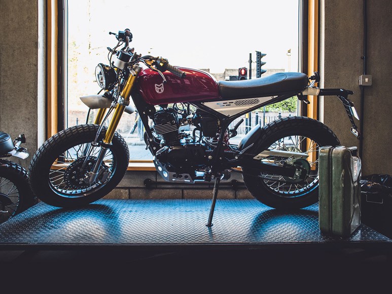 Mutt Razorback 125 packs bark and bite