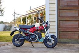 Return Of The Dax Honda Revive Their Long lost Model With New ST125